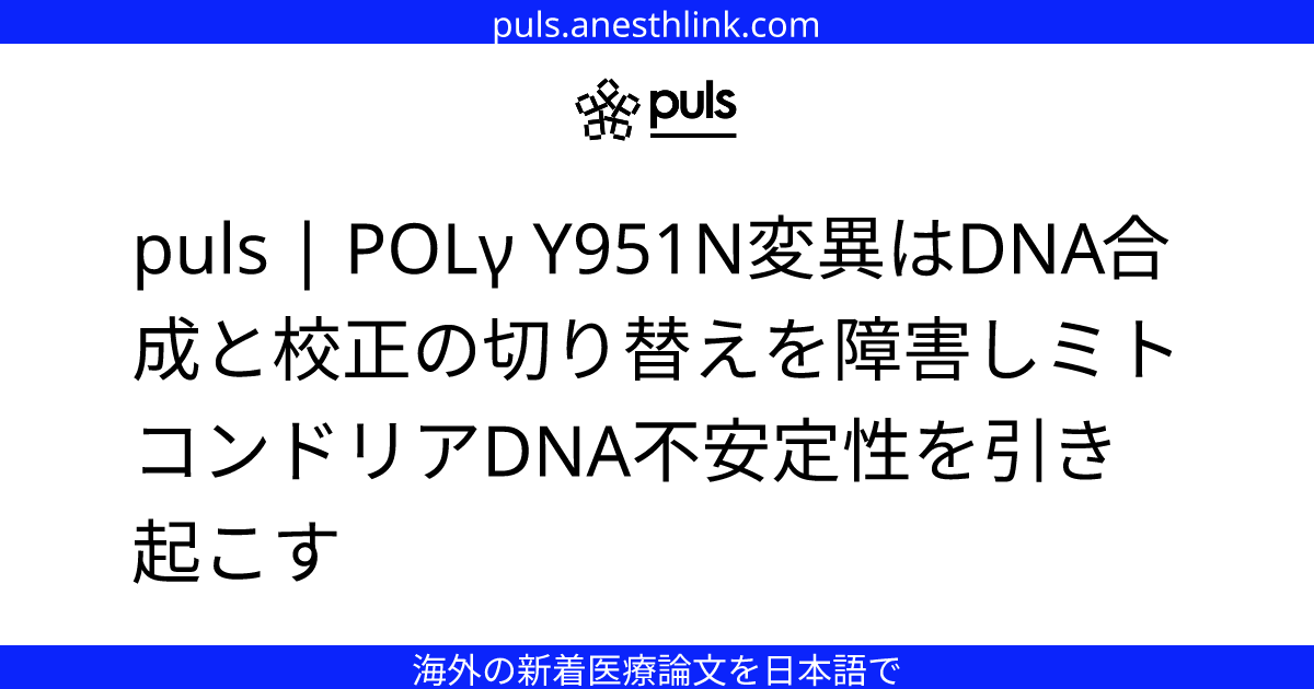 puls | POLγ Y951N変異はDNA合成と校正の切り替えを障害しミトコンドリアDNA不安定性を引き起こす